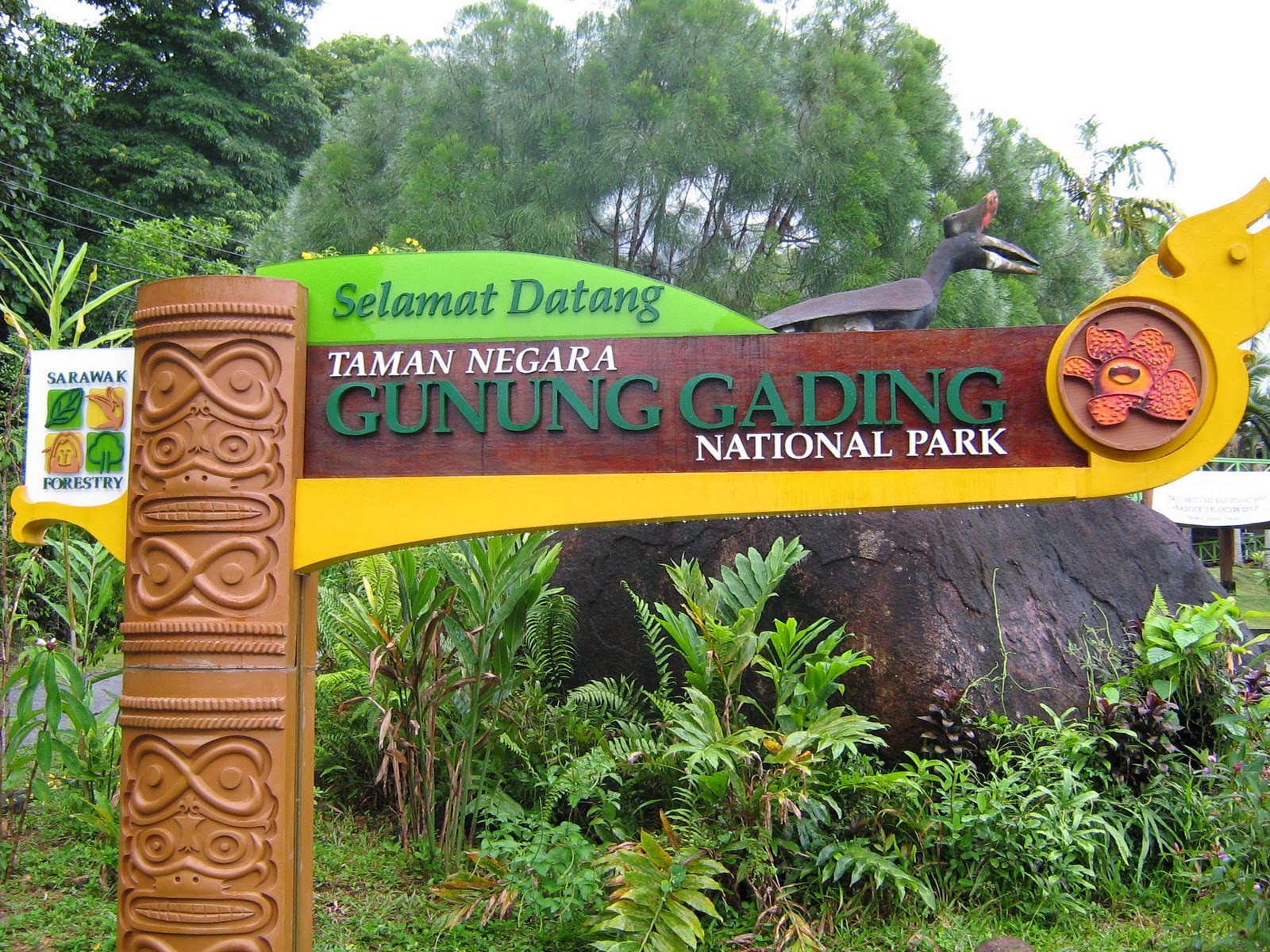 Gunung Gading National Park | Interesting Places in Malaysia