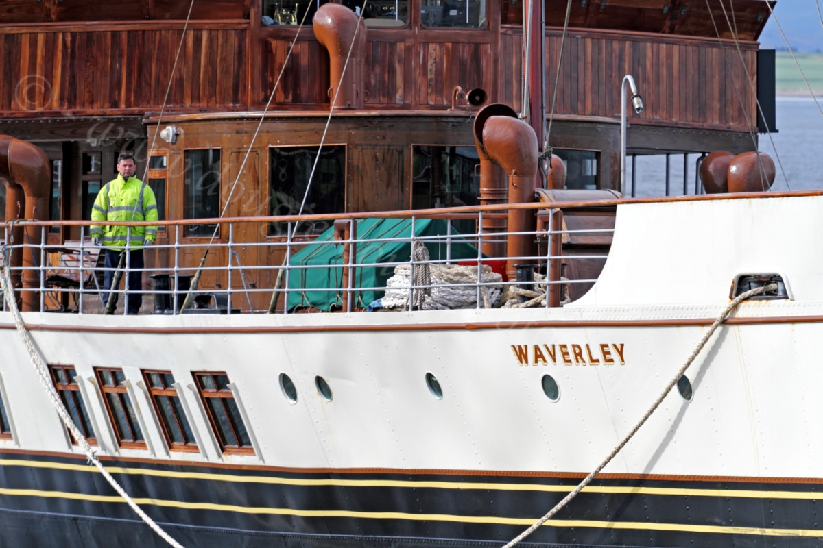 Dougie Coull Photography: She's Back - PS Waverley