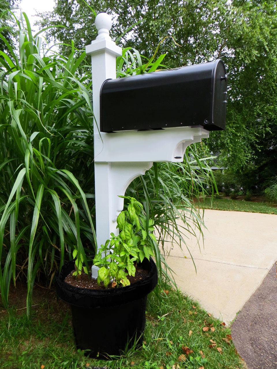 The Project Lady - DIY Tutorial to Build a House Sign, Hose Hanger ...
