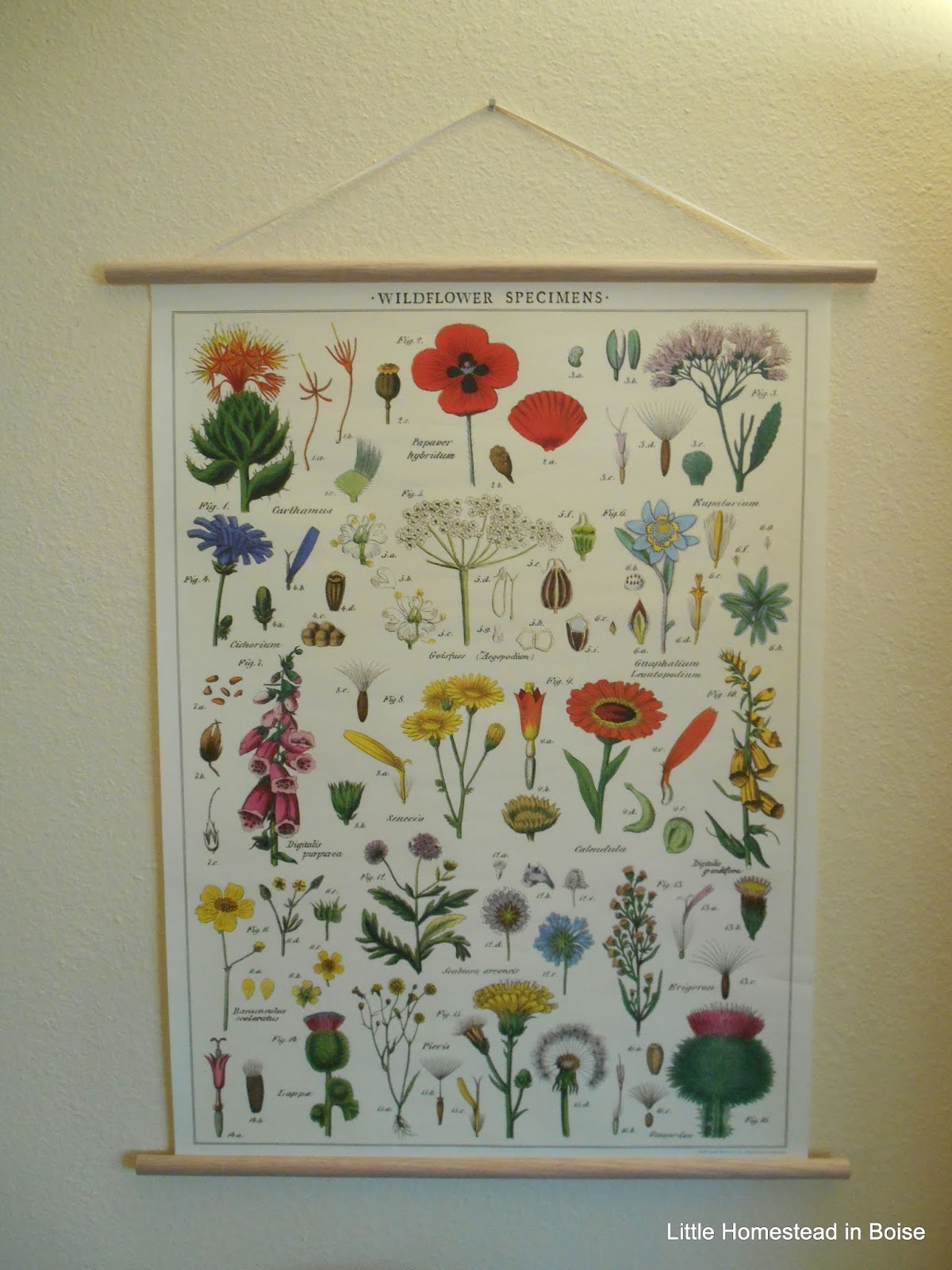 Little Homestead In Boise : DIY Framing Poster Kit, Chicken And Pea ...