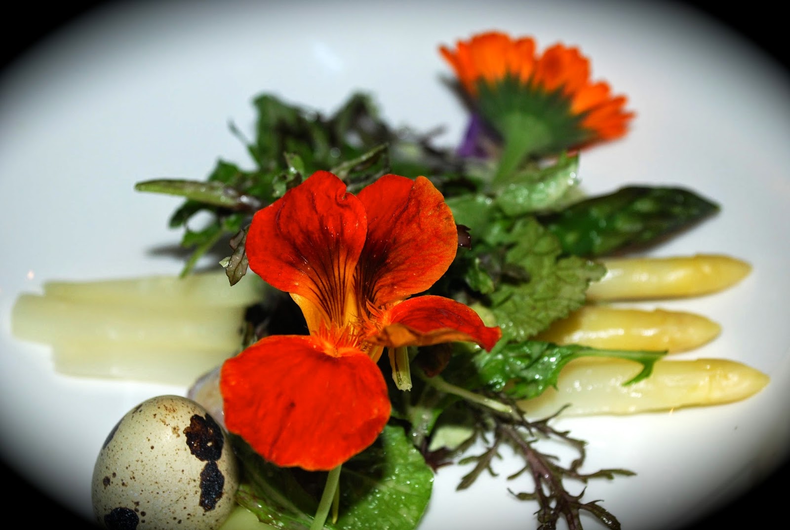 Helen A. Lockey: Organic Edible Flower Dinner, Paradise Farms ...