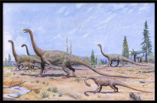 Dinossauros²: Melanorossauro