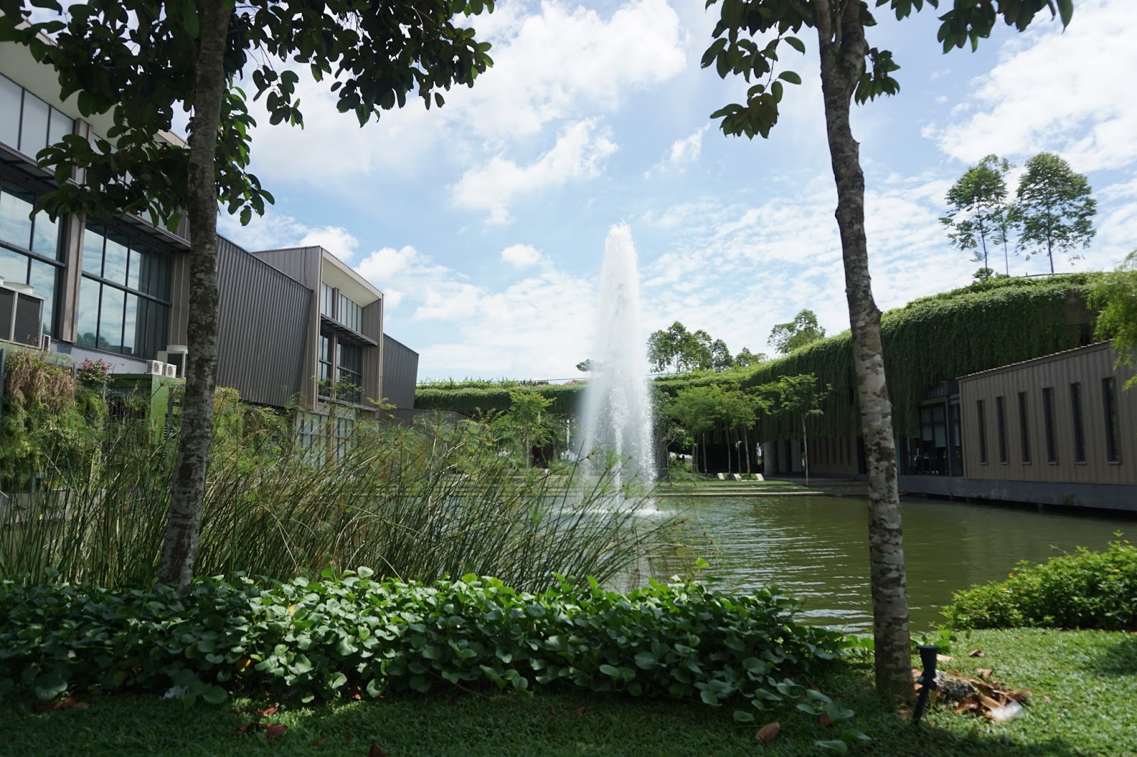 5 Little Angels: Happy Family Day at The Arc, Bandar Rimbayu