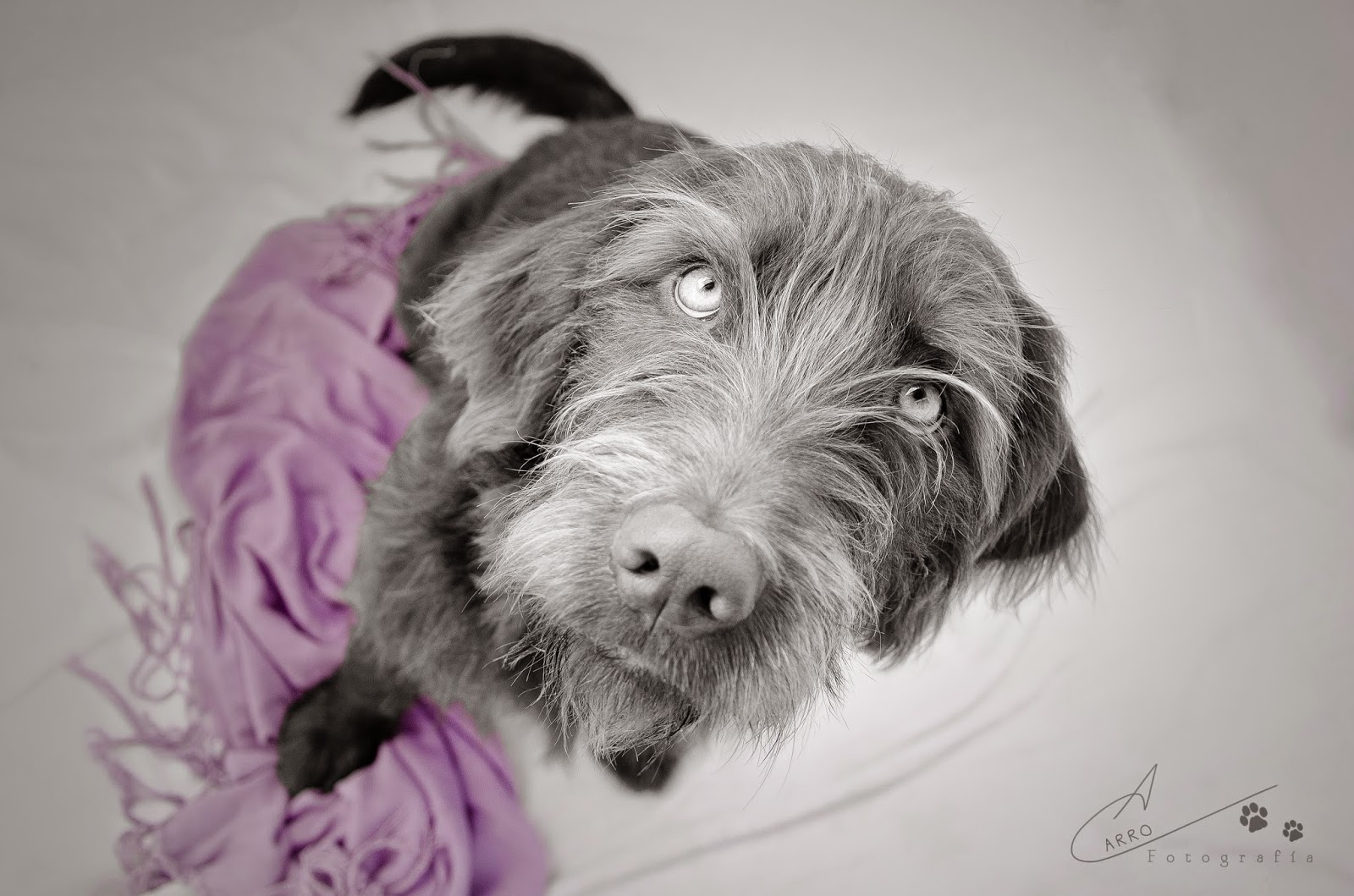 35 Estupendas Fotos en Ángulo Picado para Inspirarte