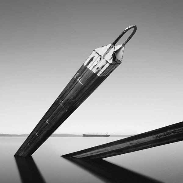 ::B L O G H I S T A∙P E R∙C A S O:: : Michael Levin