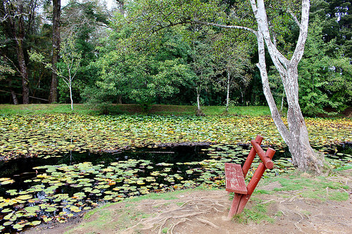 Apuntes y Viajes: Un paseo por el Parque Saval