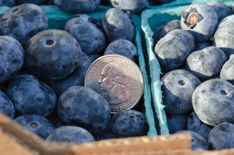 make happy: 219/366 giant blueberries