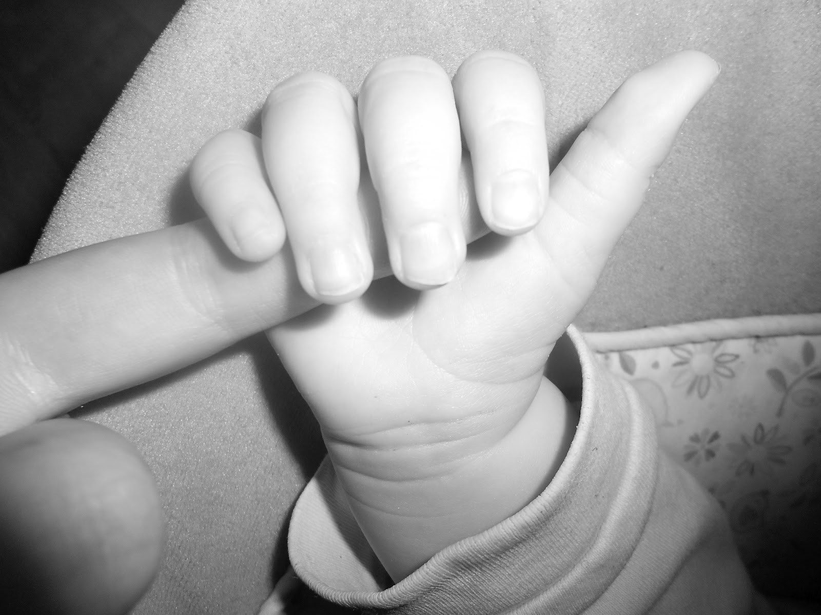 Natasha Sheppard Photo: February 2012