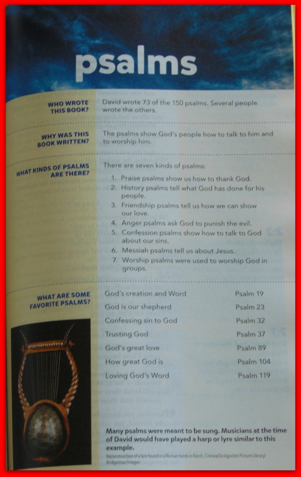 Review: Kids NIV Visual Study Bible - A Net in Time