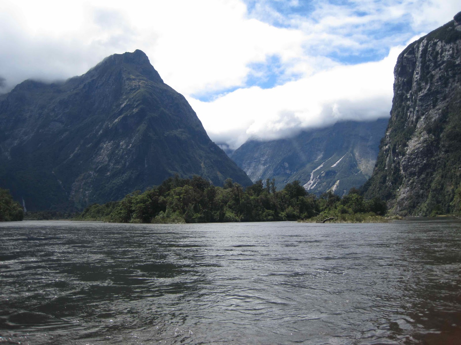 Carolyn in Aotearoa: Milford Track, Day Four: Dumpling Hut to Sandfly ...