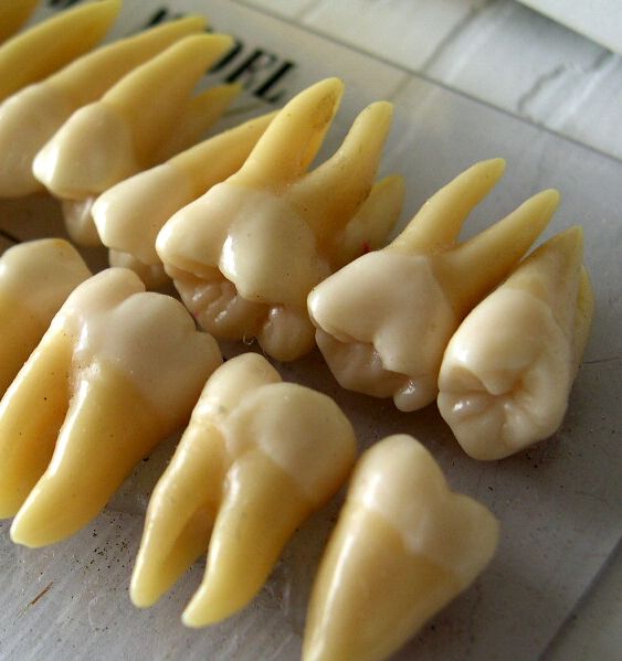 Into Vintage: What’s more fun than a vintage box of teeth?
