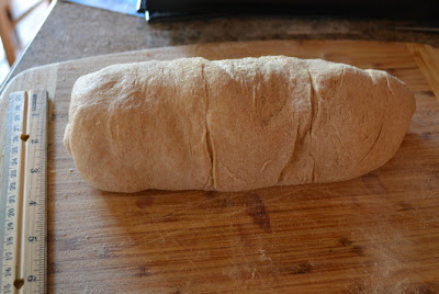 How to Make a Beautifully Risen Loaf of 100% Whole Wheat Bread ~ Eco-novice