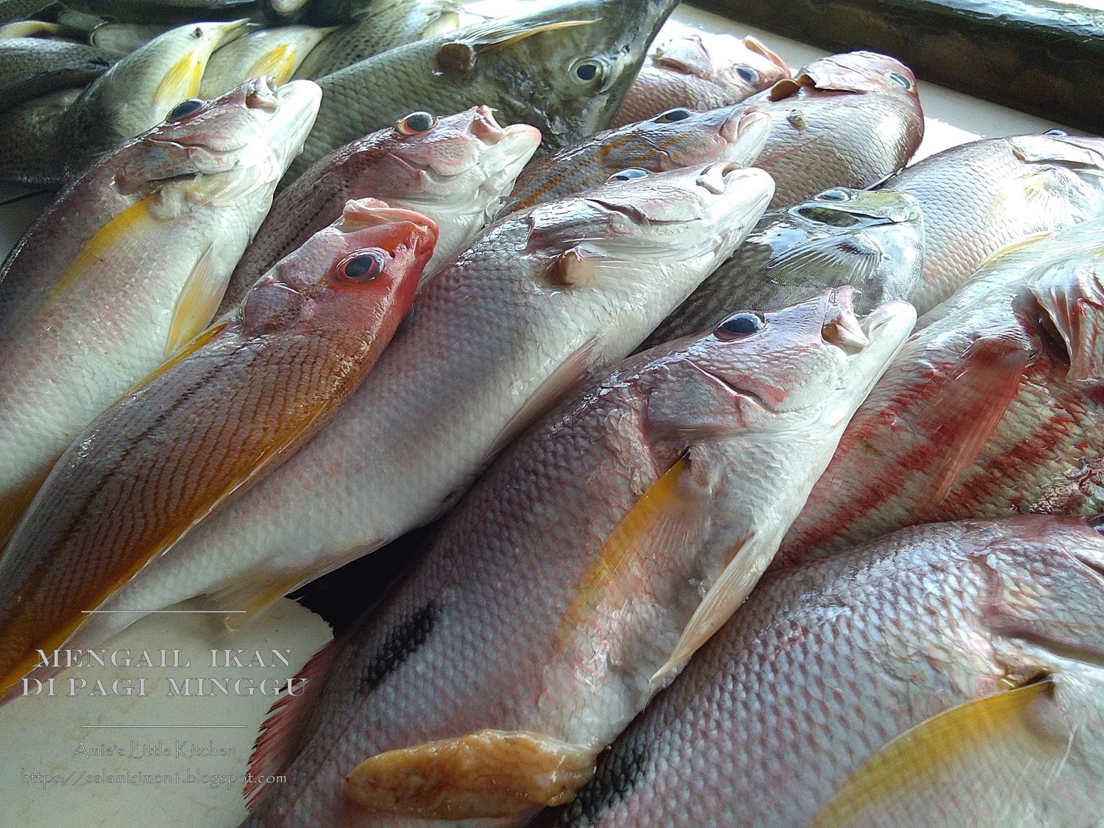 Mengail Ikan di Pagi Minggu - Amie's Little Kitchen