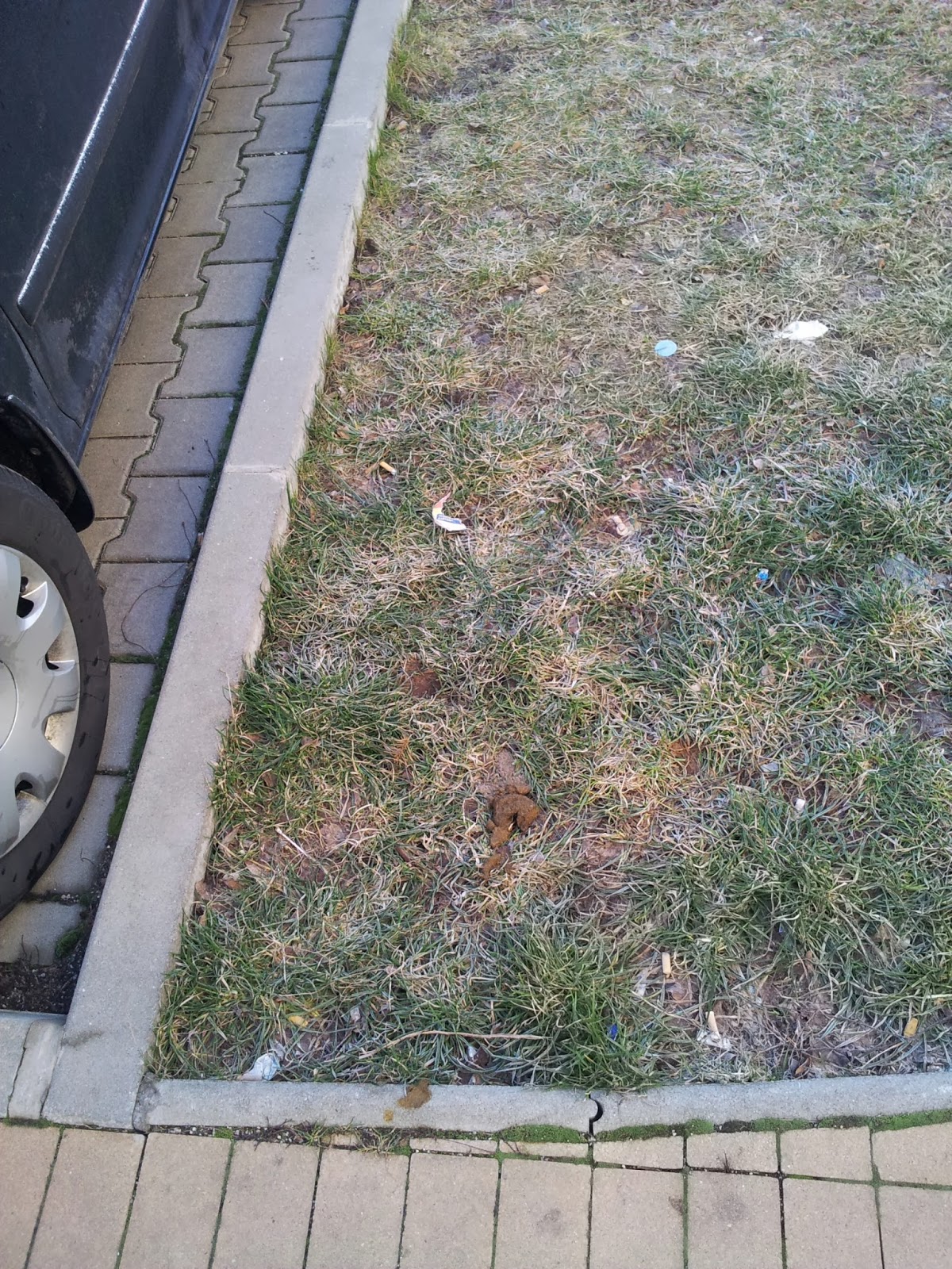 TRNAVA - fotky a texty zo života v tomto meste: Psie hovná pri ...