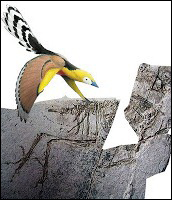 Fossil Adventure: Aparecieron las aves..... y vienen volando.