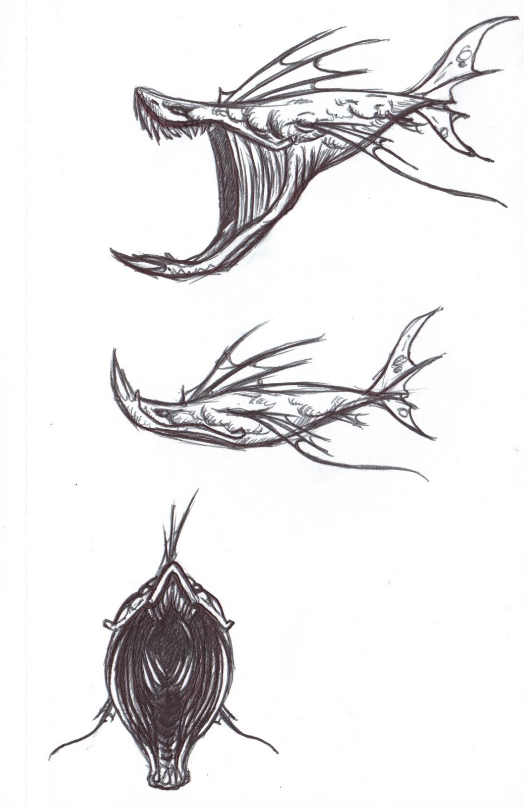 Naut Done Drawing: Fish Eye