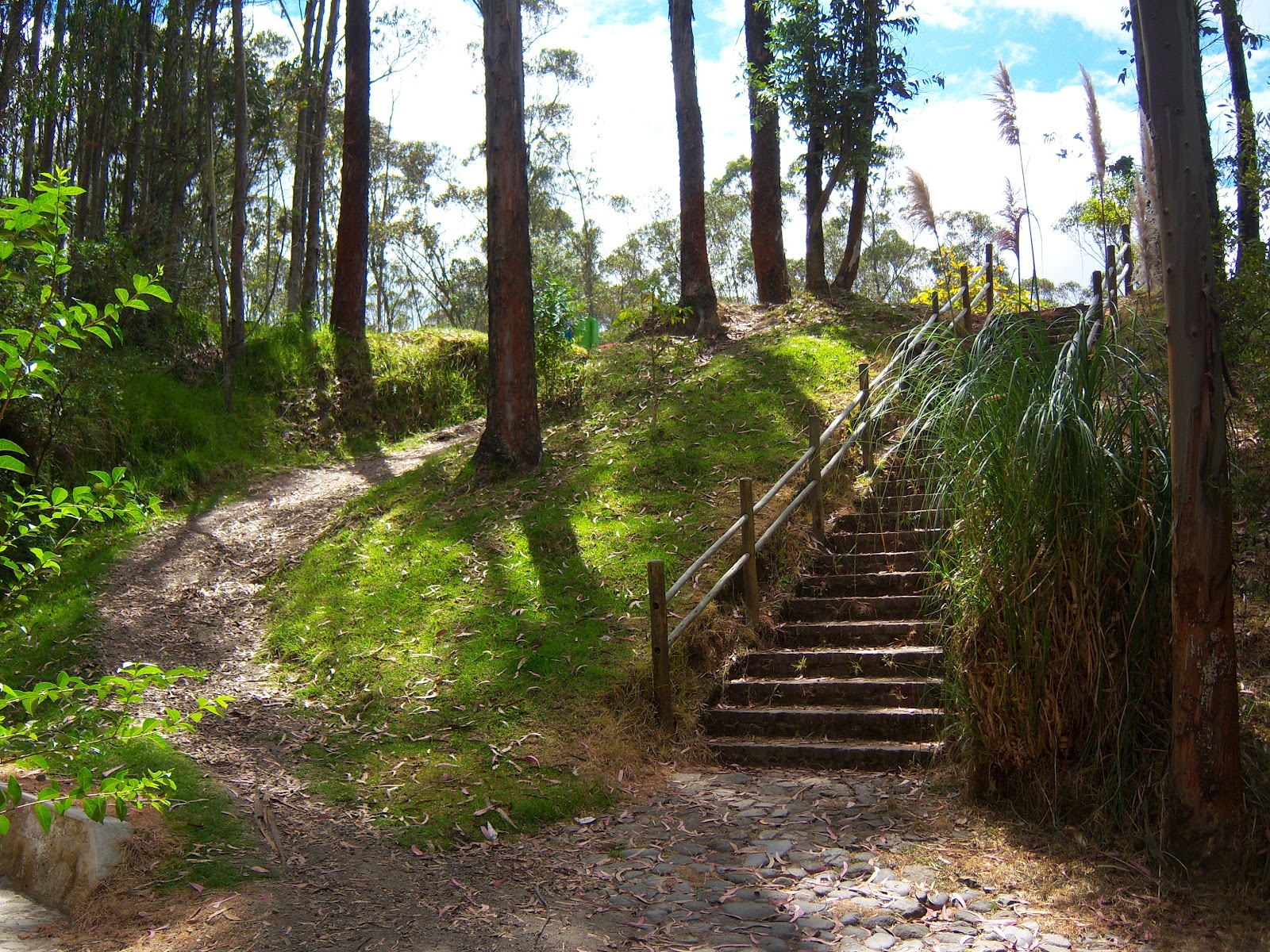 EcuadorQuito: Parque Metropolitano