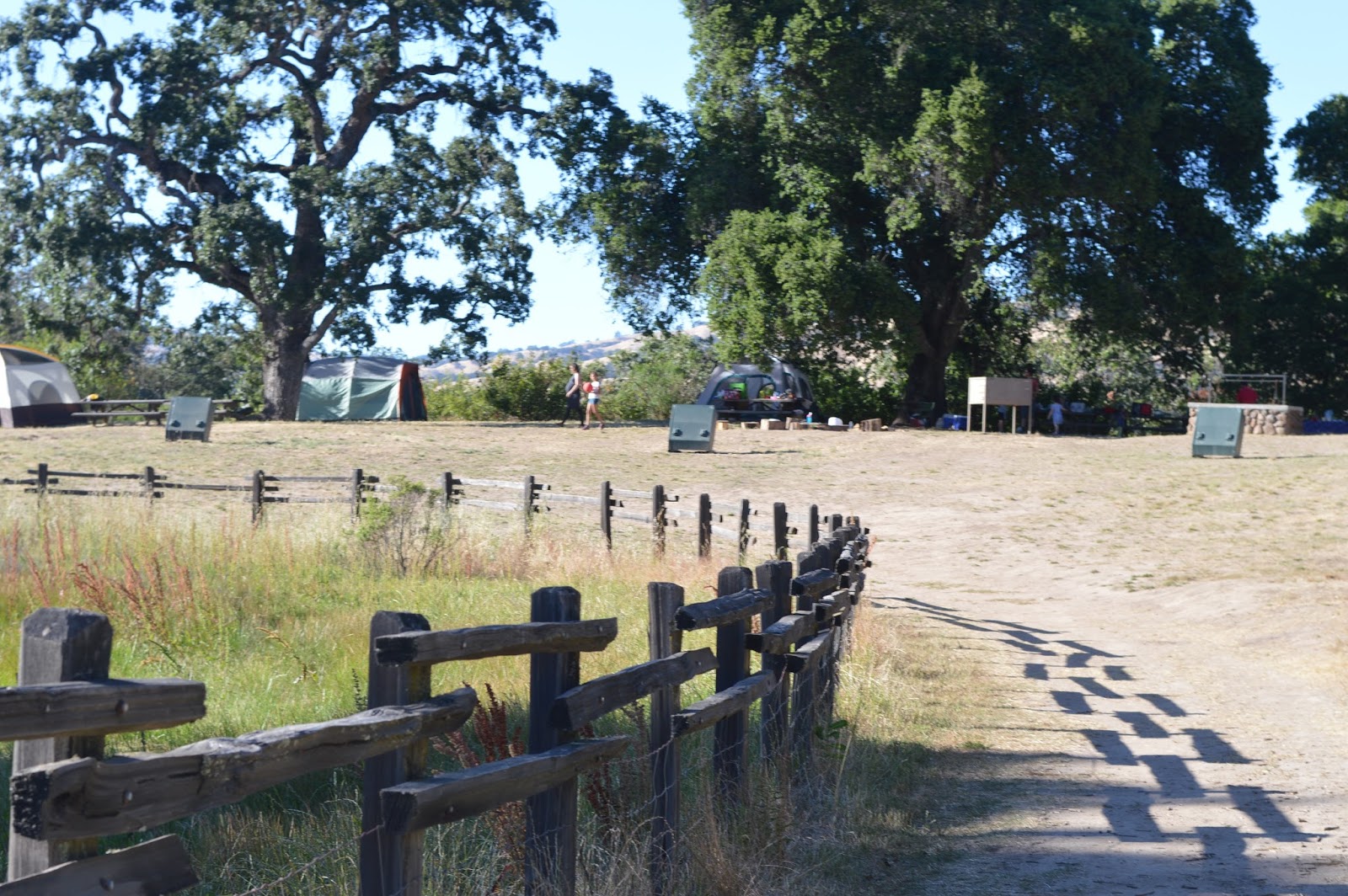 Musings on the Simple Life: Camp Out