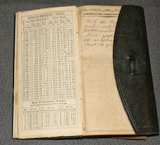 Guardian of the Artifacts: A Diary and a Love Poem