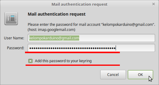 How To Setup Evolution for Gmail IMAP Account