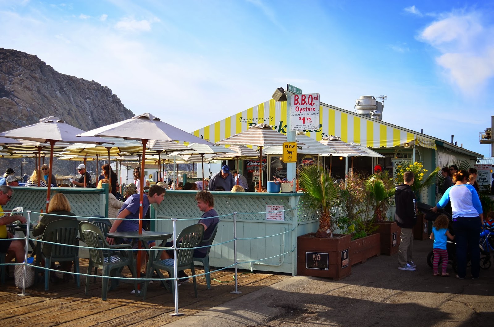 Hedofoodia: Tognazzini's Dockside Restaurant, Morro Bay