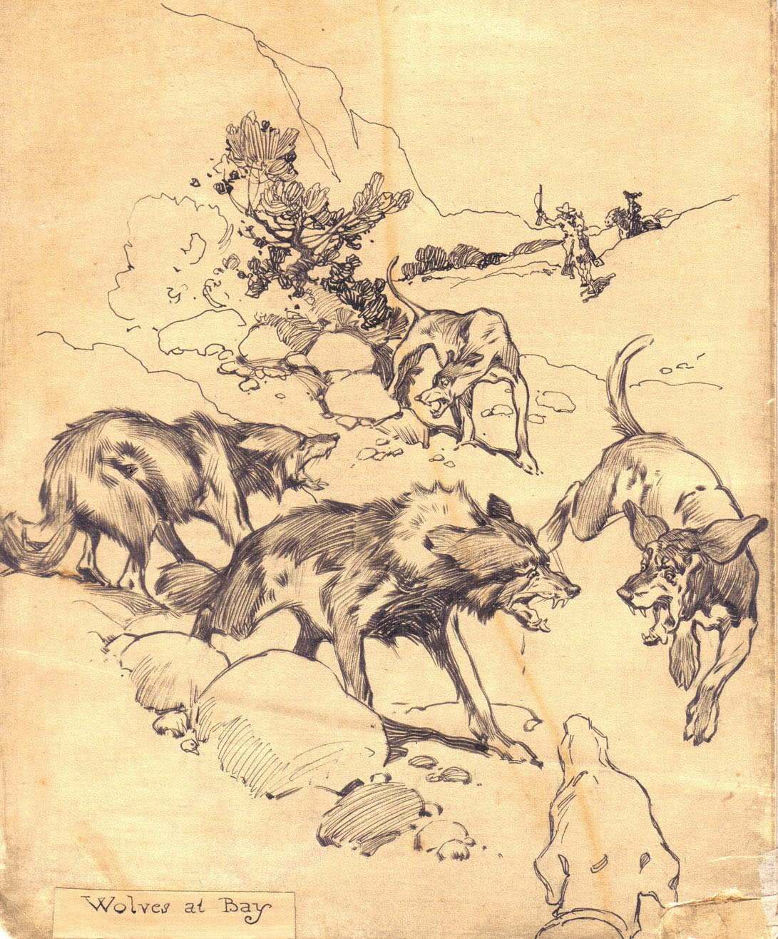 Garret's Drawing A Day Blog: Dan Smith, Illustrator, 1865-1934