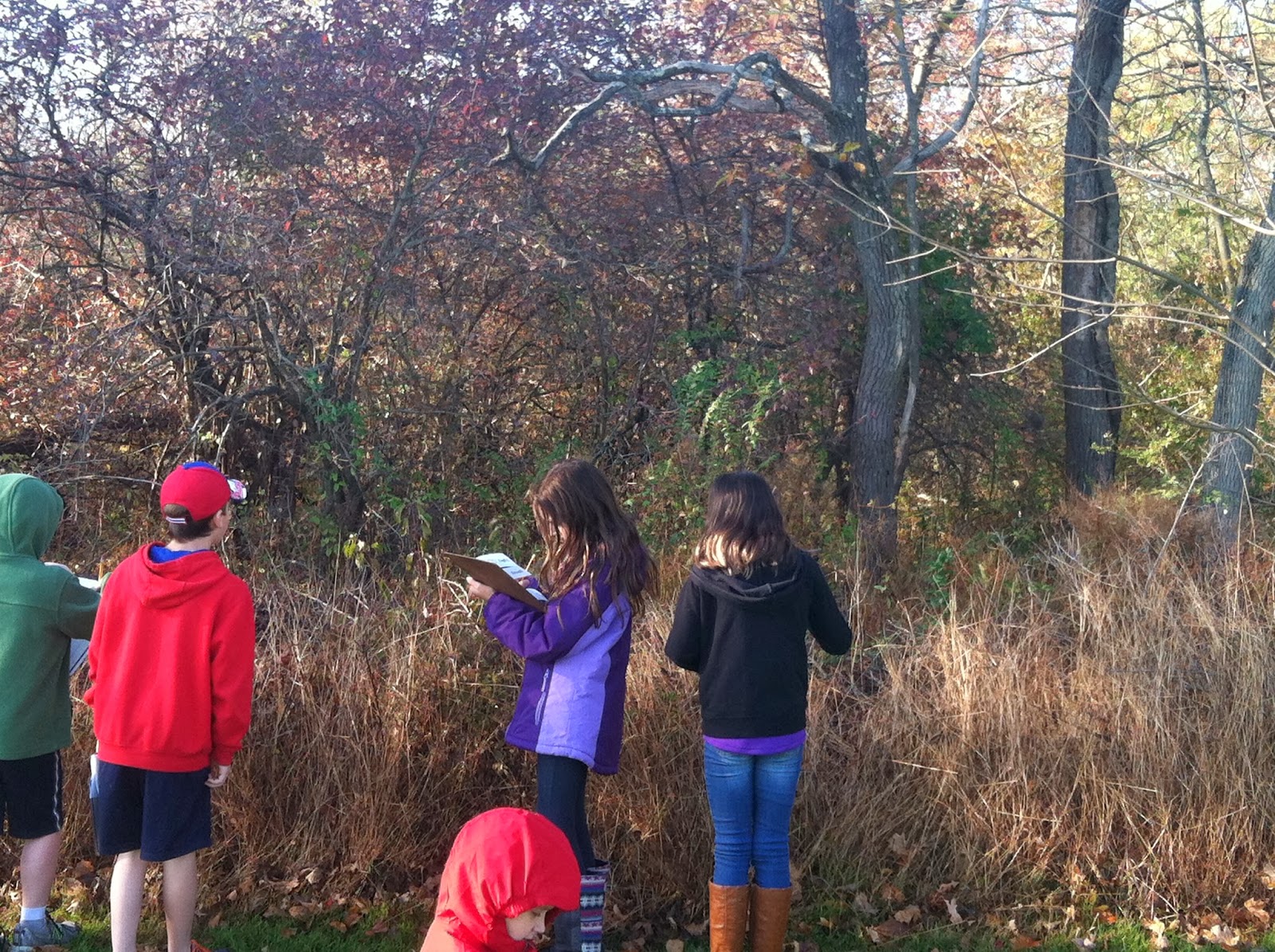 Hunter's Tales from Teaching : Spark Student Motivation-Fall Walk and ...