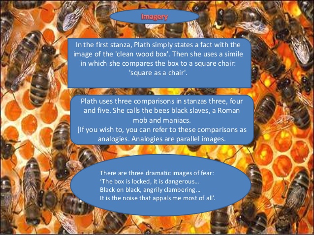 English Literature : Explanation Of Poem 'The Arrival Of The Bee Box