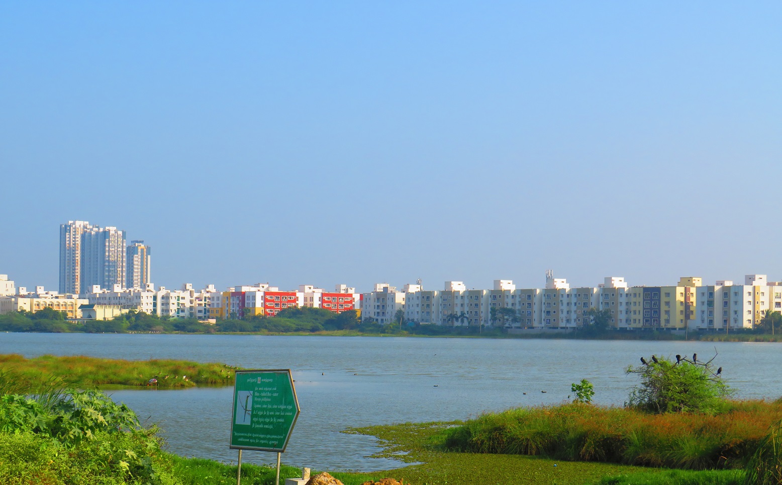 Perumbakkam Wetland (Waterbodies of Chennai - 52)
