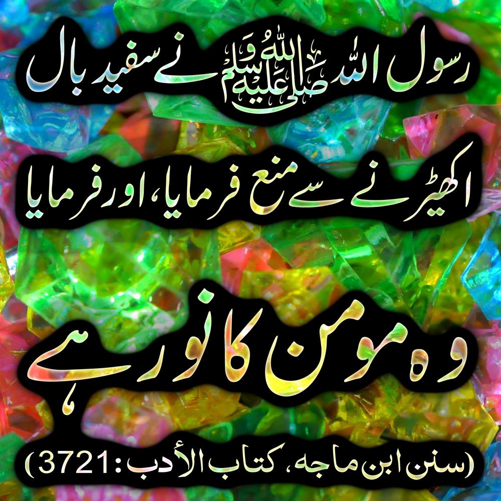 Hadees e Nabvi SAWW About White Hair in Urdu | Free Islamic Wallpapers ...