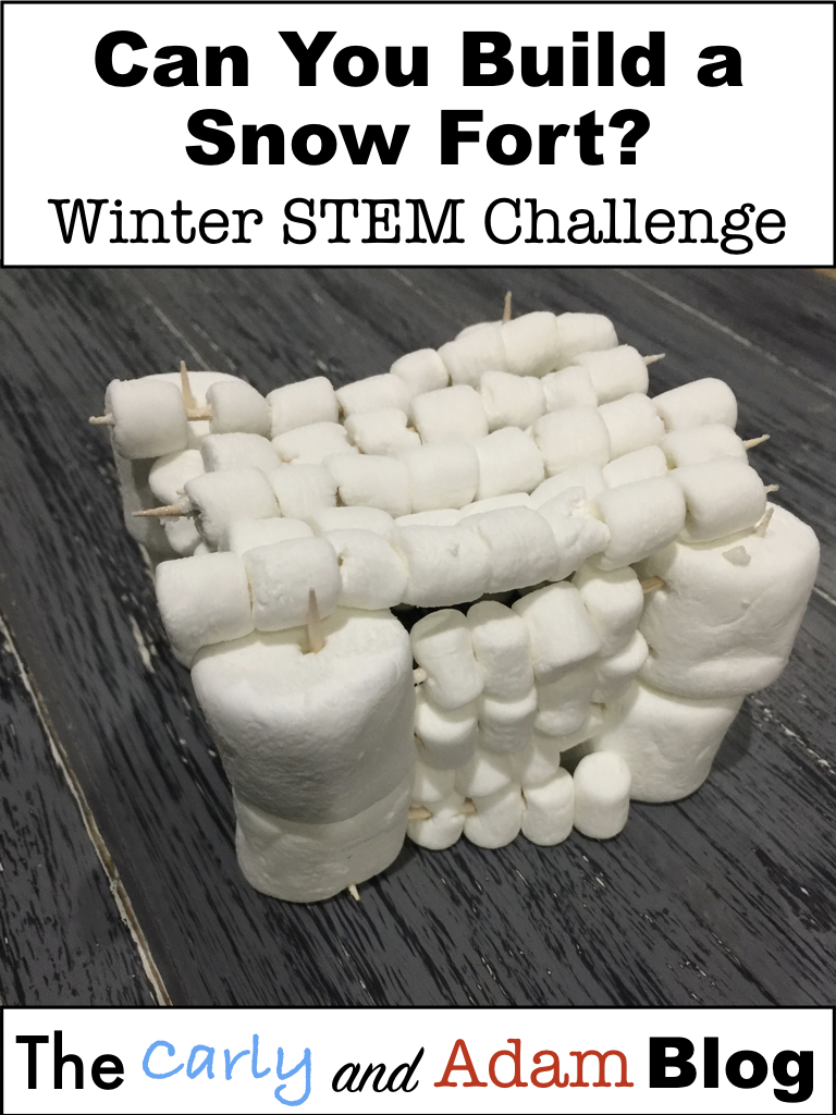 The Carly and Adam Blog: Winter STEM (Keep Your Students Engaged During ...