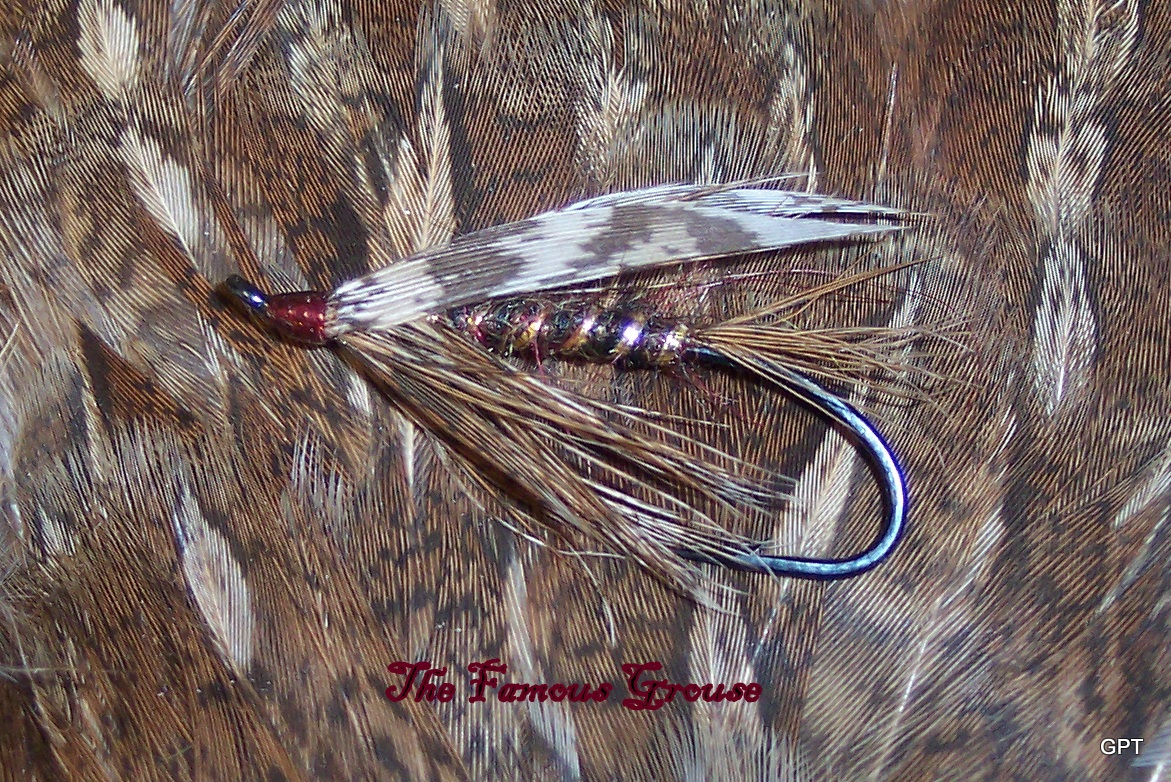 The River's Course: The Famous Grouse Fly