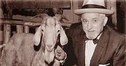 Storie Sportive e Scommesse: La Maledizione Dei Chicago Cubs: "The ...