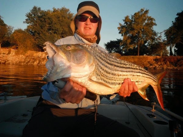 News from Southern Africa & Namibia: Namibia: update from Kalizo Lodge ...