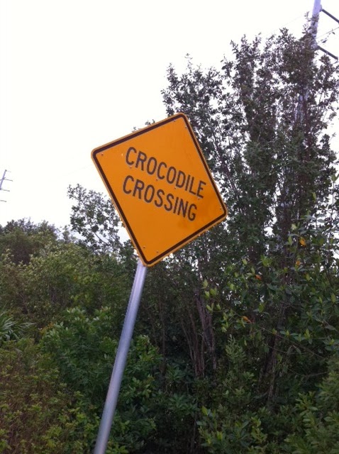 Everglade Gator Gazing Road Trip | Galley Wench Tales