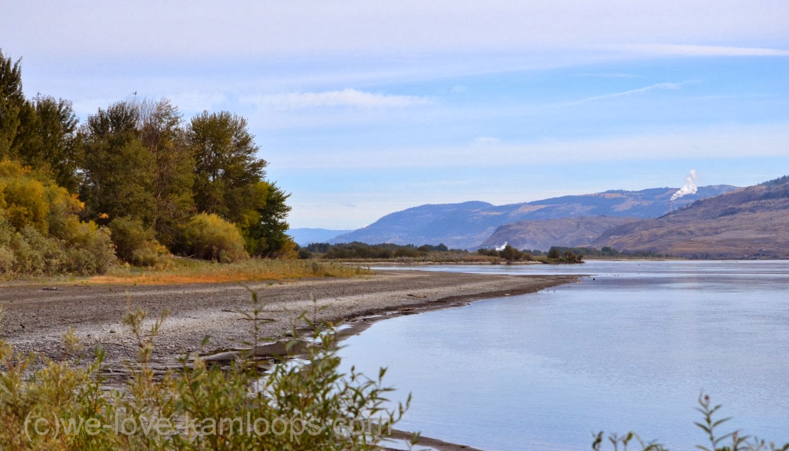 we-love-kamloops: Pelicans ~ Kamloops Lake ~ Kamloops, BC