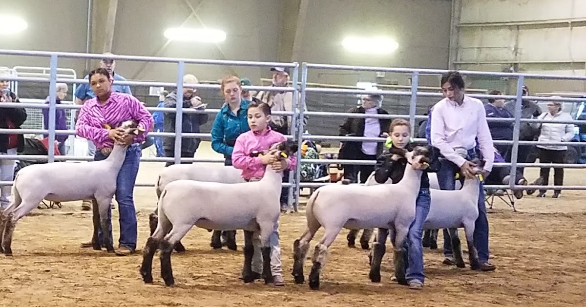 Southern University Ag Center and College of Agriculture: Southern ...