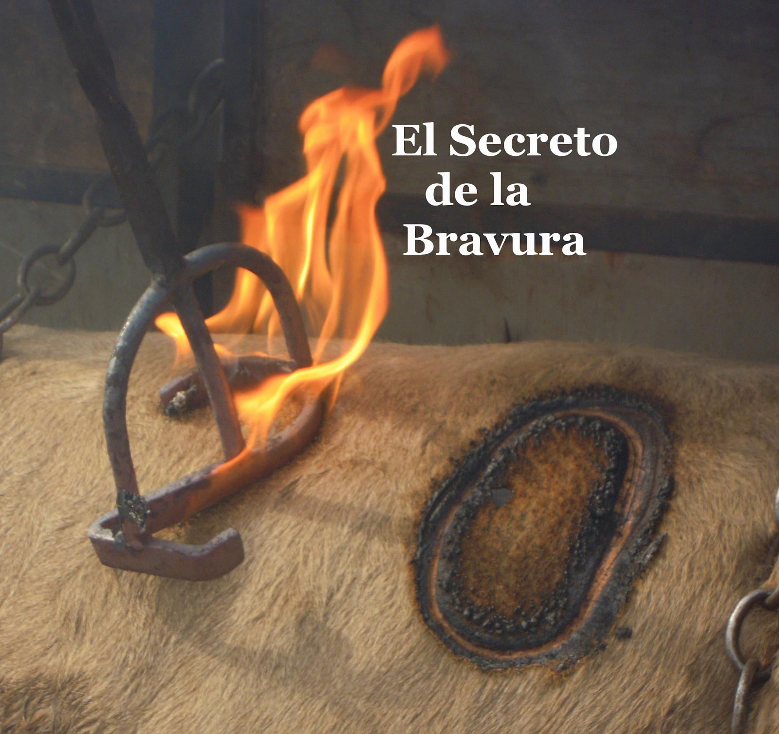 El Secreto de la Bravura: El Herradero (y II): Numeración y matices