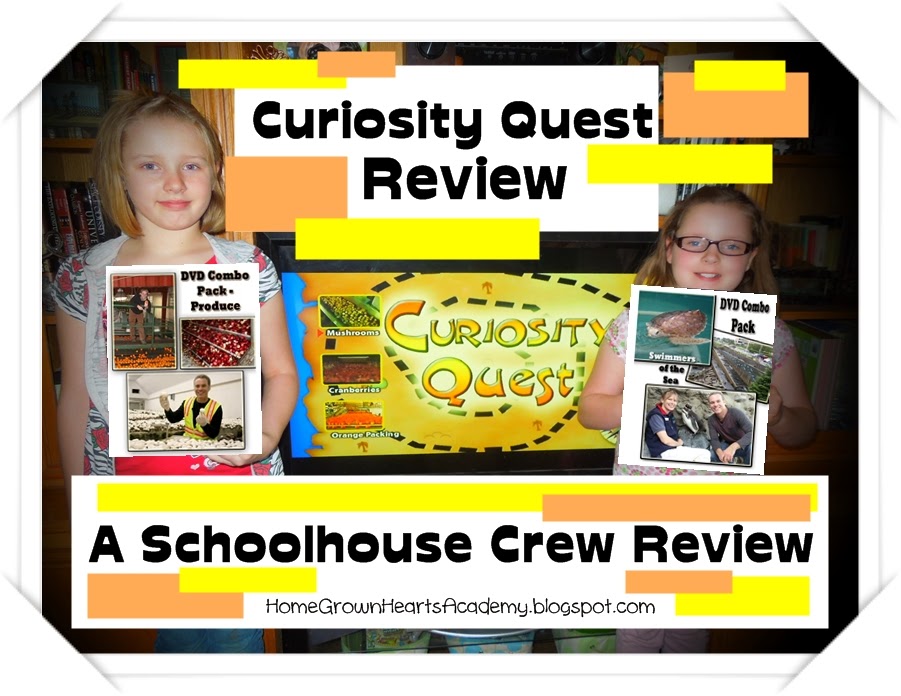 Home Grown Hearts Academy Homeschool Blog: Curiosity Quest Review