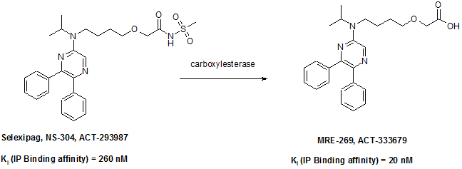 Modern Medicines: Selexipag | Treatment for Pulmonary Arterial ...