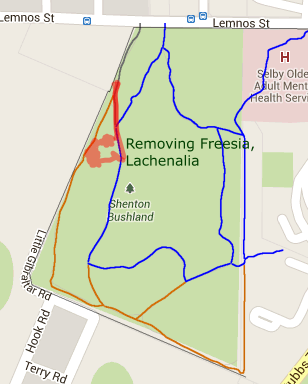 Shenton Bushland Activities: Planting day and other activities