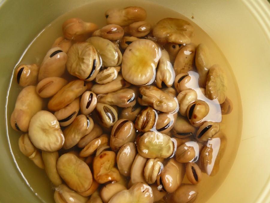 Outras Comidas: Fava Rica