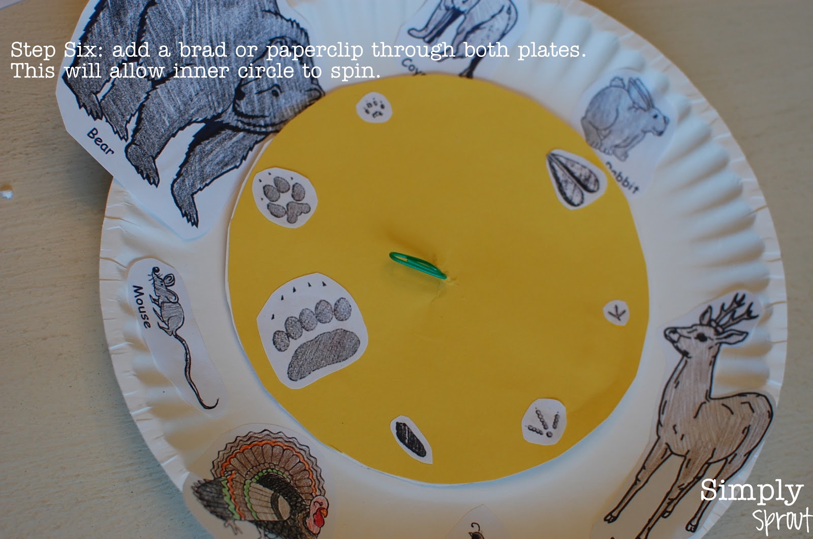 Yummy Animal Tracks - Simply Sprout