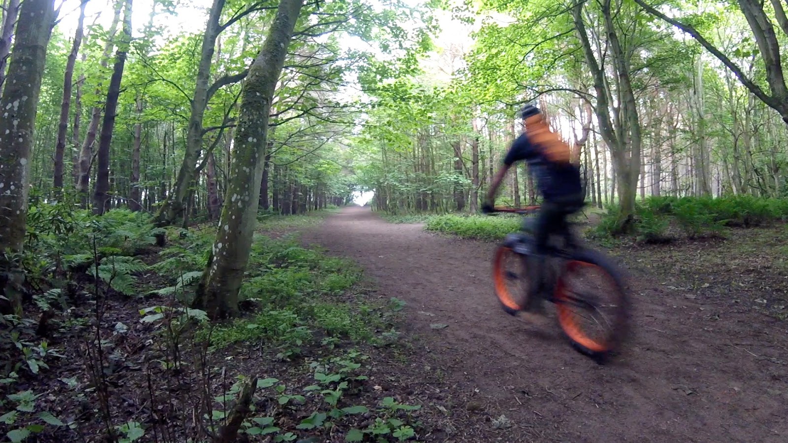 coastrider: Midweek Cycle; Offshore Sea Haar at Tyninghame...