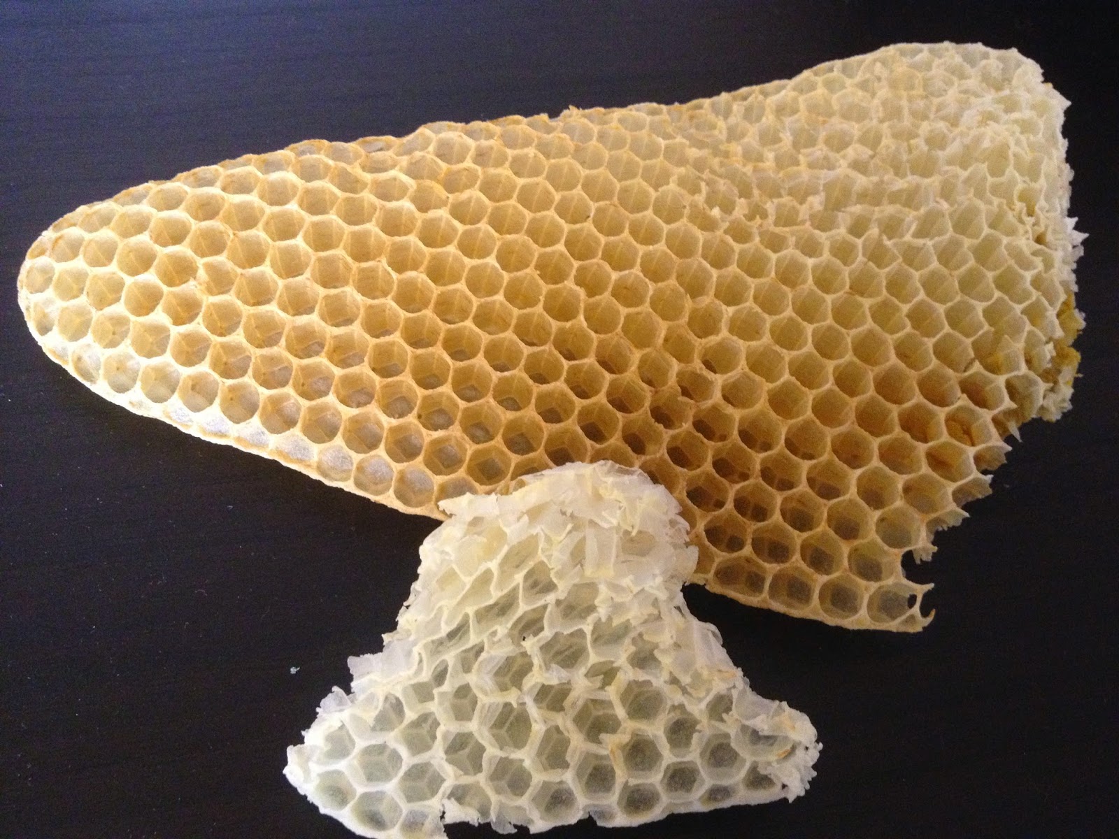 Fresh From the Hive: Beeswax and Bee Bread