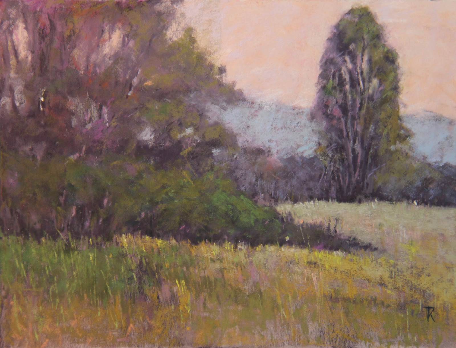 Total Illusion Studio : "Golden Hour" Pastel study on Wallis.
