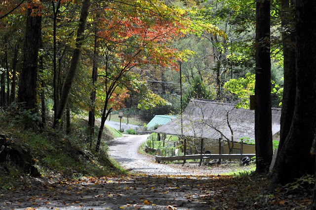 Diamonds in My Coal bucket: Appalachian Language - Holler