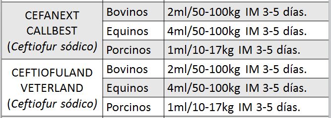 Cefalosporinas: Las Cefalosporinas son..
