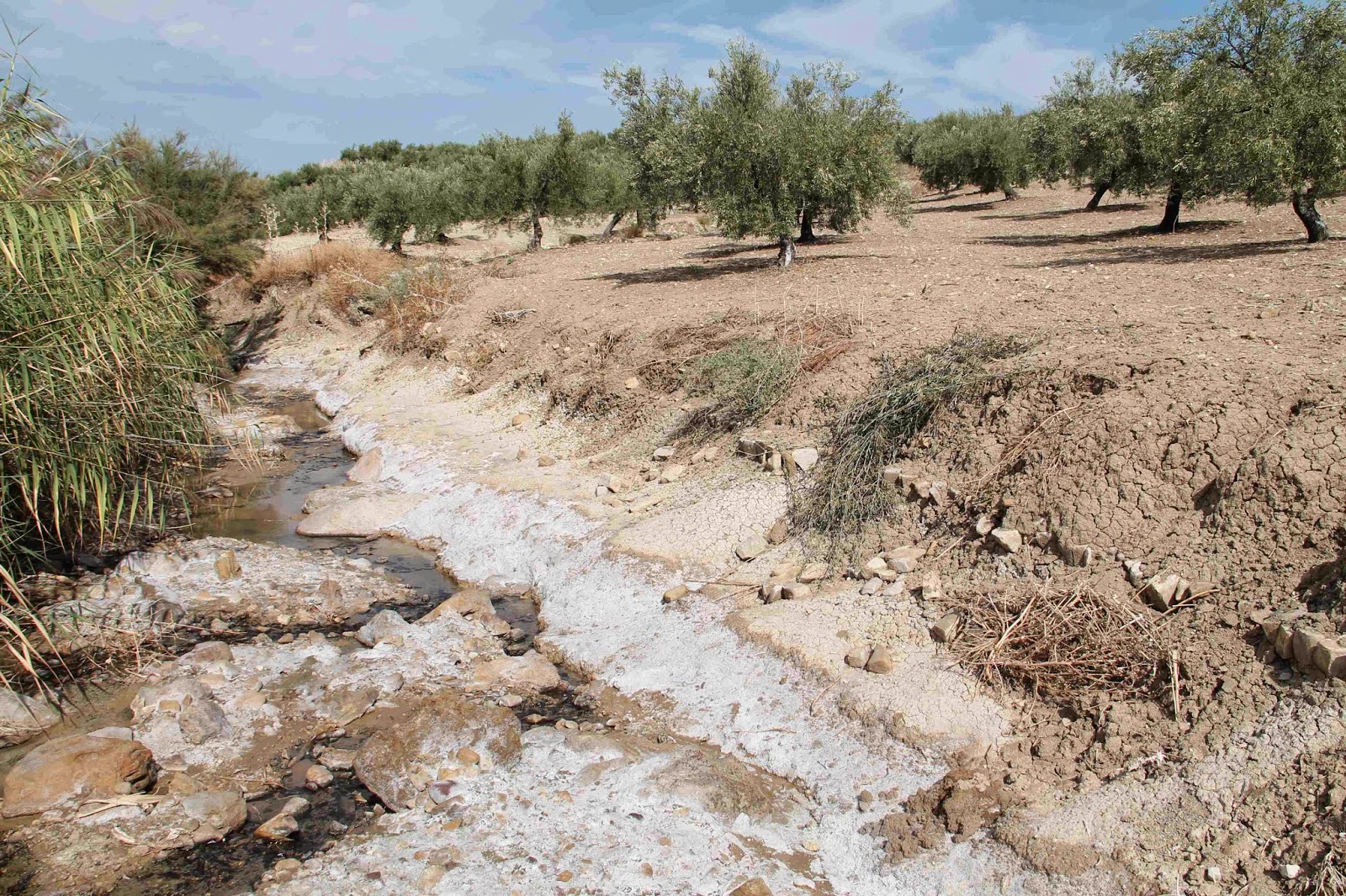 Viviendo ríos: Ríos de sal