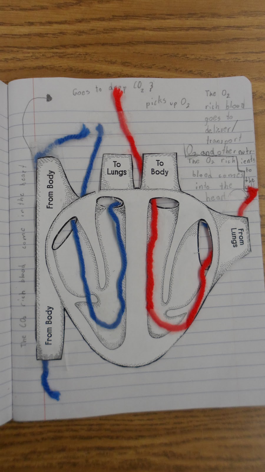 4 Ever a Teacher: The Human Heart